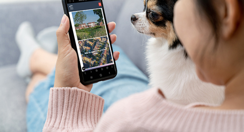 Consumer codes | Springfield Properties